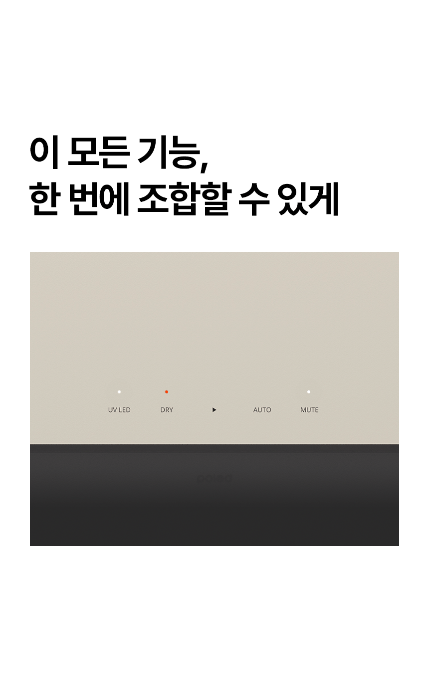 16 pixel w gif